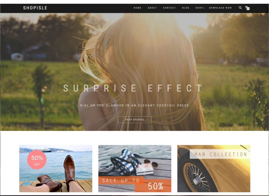 11+ Best Professional Business WordPress Theme