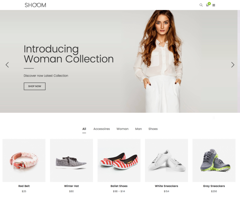 The Best WordPress E-commerce Themes for 2025