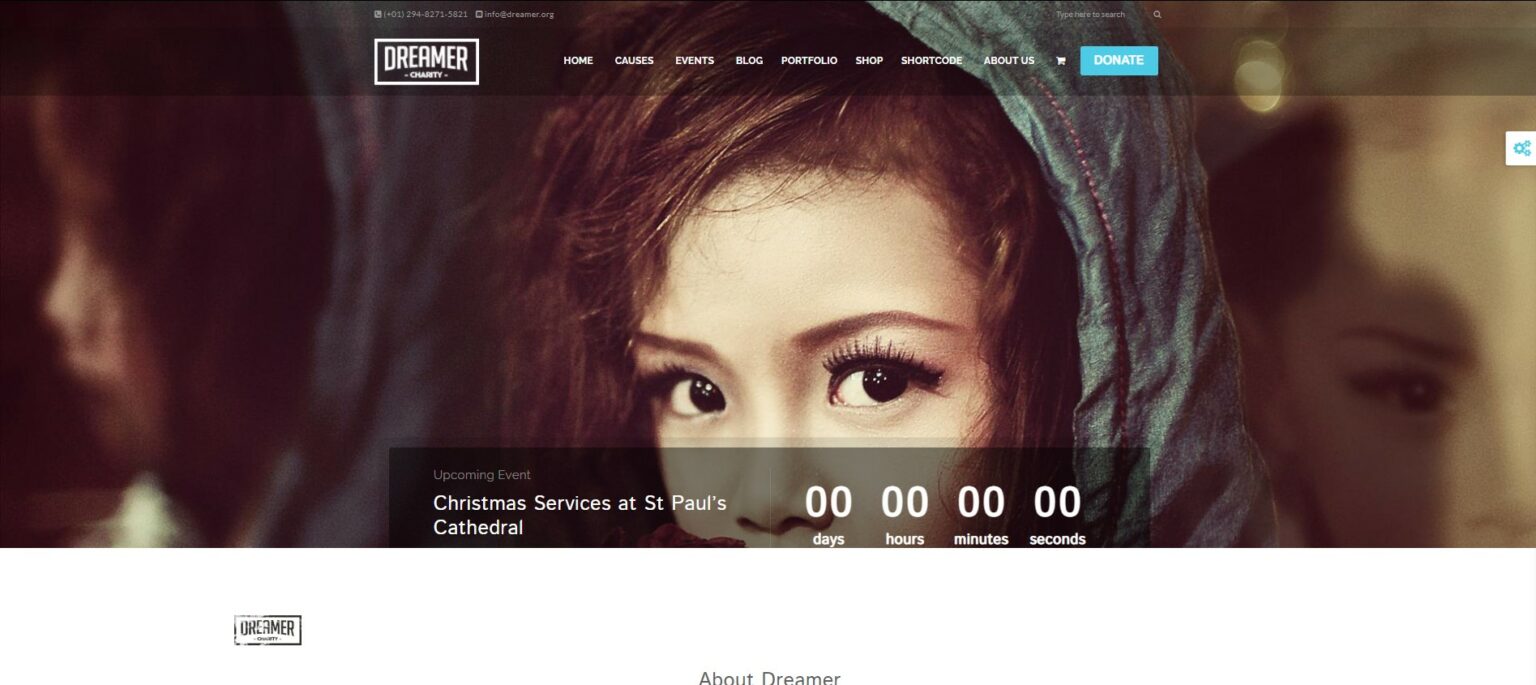 WordPress For Nonprofits: 15+ Best Warm-hearted Themes