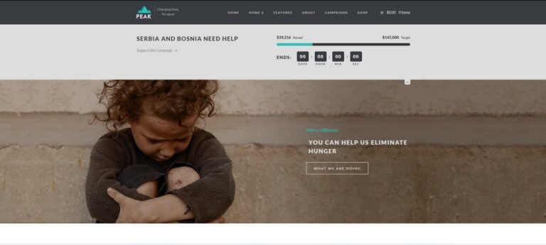 WordPress For Nonprofits: 15+ Best Warm-hearted Themes