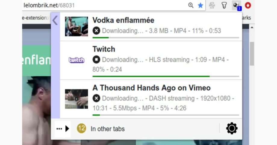 Best 10+ Free Video Downloader Chrome Extension 2025
